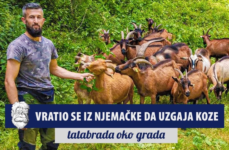 Tatabrada - Tatabrada